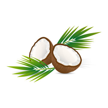 "Coconut Vector" Images – Browse 189 Stock Photos, Vectors, and Video ...