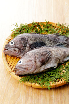 Jacopever Images – Browse 21 Stock Photos, Vectors, and Video | Adobe Stock