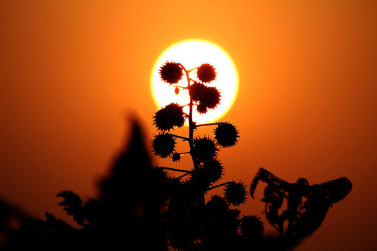 Sunball Images – Browse 352 Stock Photos, Vectors, and Video | Adobe Stock