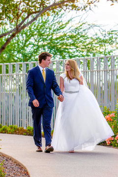 Goom Images – Browse 99 Stock Photos, Vectors, and Video | Adobe Stock