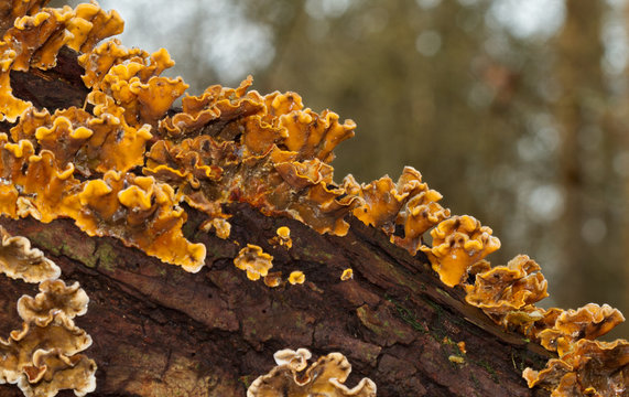 Destruenten Bilder – Durchsuchen 1,487 Archivfotos, Vektorgrafiken und ...
