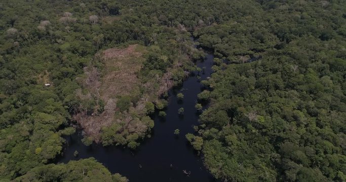 Samauma Images – Browse 36,292 Stock Photos, Vectors, and Video | Adobe ...