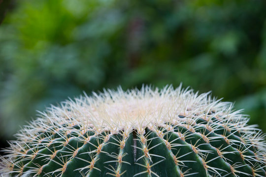 Hildm Images – Browse 138 Stock Photos, Vectors, and Video | Adobe Stock