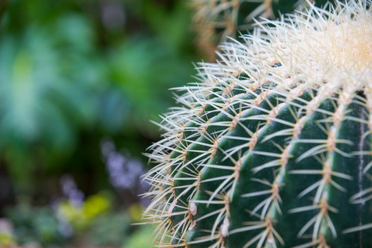 Hildm-Bilder: Stock-Fotos & -Videos. | Adobe Stock