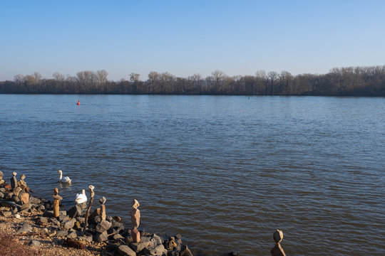 Schimmen-Bilder: Stock-Fotos & -Videos. | Adobe Stock