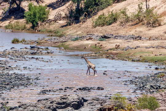「Waten」の画像 - 473 件の Stock 写真、ベクターおよびビデオ | Adobe Stock