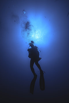 รูปภาพPlongeon – เลือกดูภาพถ่ายสต็อก เวกเตอร์ และวิดีโอ3,172 | Adobe Stock