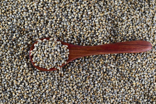 Bajra Images – Browse 1,964 Stock Photos, Vectors, and Video | Adobe Stock