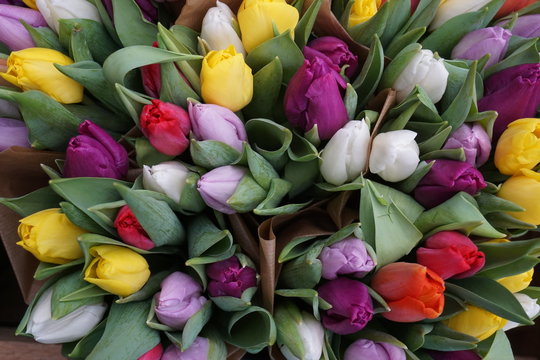 Bundware Images – Browse 30 Stock Photos, Vectors, and Video | Adobe Stock