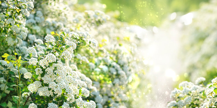 June Background Images – Browse 390,000 Stock Photos, Vectors, and ...