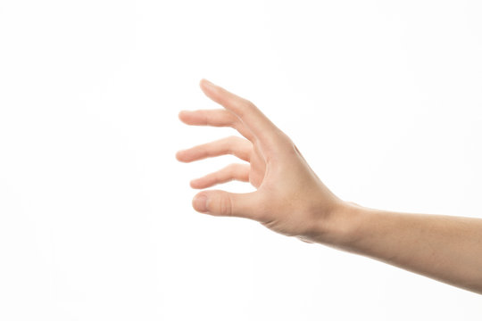 Hand Picking Something Up Images – Browse 1,923 Stock Photos, Vectors, and Video | Adobe Stock