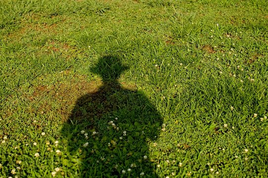 "Shadow On The Ground" Images – Browse 25 Stock Photos, Vectors, and ...