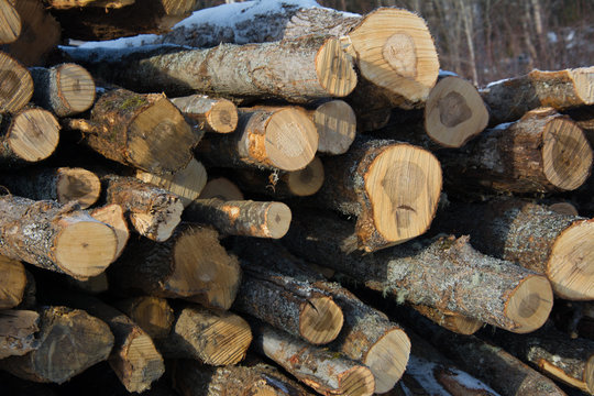 Amonceler-Bilder: Stock-Fotos & -Videos. | Adobe Stock