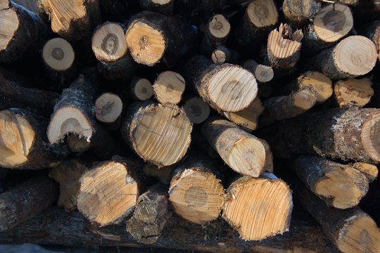 Amonceler Images – Browse 61 Stock Photos, Vectors, and Video | Adobe Stock