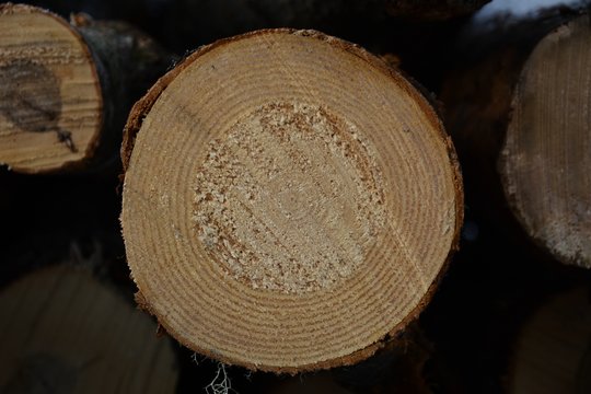 Amonceler Images – Browse 61 Stock Photos, Vectors, and Video | Adobe Stock