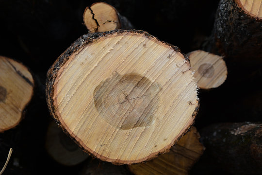 Amonceler Images – Browse 61 Stock Photos, Vectors, and Video | Adobe Stock