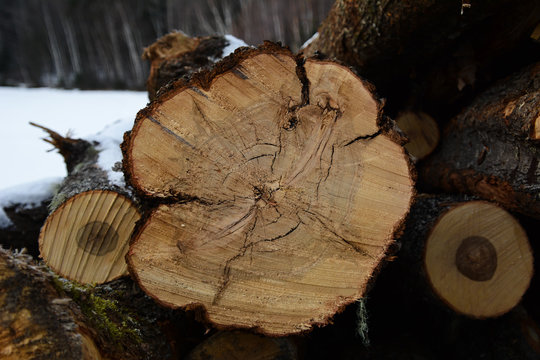 Amonceler Images – Browse 61 Stock Photos, Vectors, and Video | Adobe Stock