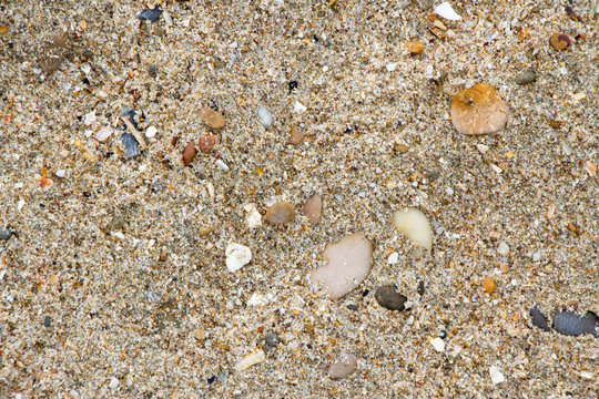 「Grossier」の写真素材 | 99件の無料イラスト画像 | Adobe Stock