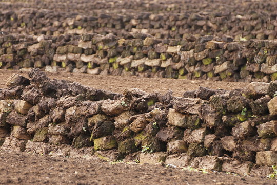 Torfabbau Bilder – Durchsuchen 1,514 Archivfotos, Vektorgrafiken und ...