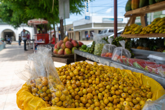 Nancite Images – Browse 69 Stock Photos, Vectors, and Video | Adobe Stock