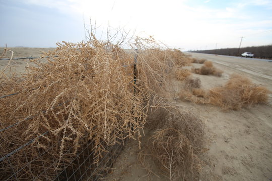 LAS 2,696 MEJORES IMÁGENES, FOTOS DE ARCHIVO Y VECTORES DE Estepicursor ...