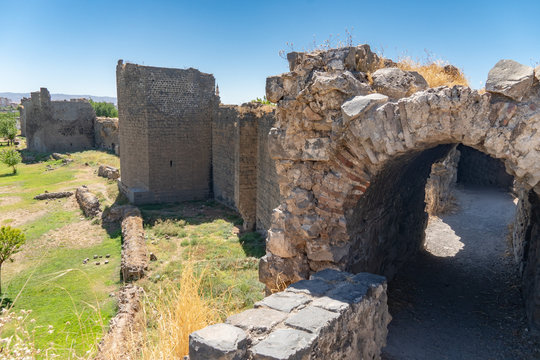 63 BEST Keci IMAGES, STOCK PHOTOS & VECTORS | Adobe Stock