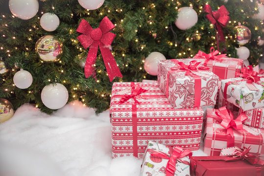 Wrapped Presents Under Tree