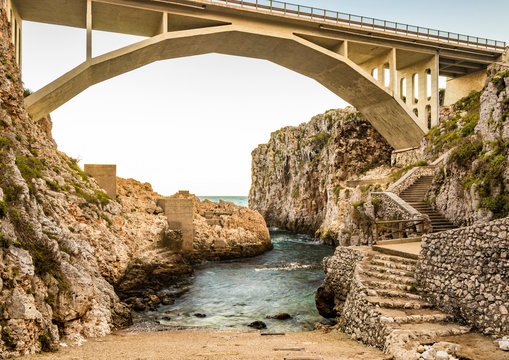 รูปภาพCiolo – เลือกดูภาพถ่ายสต็อก เวกเตอร์ และวิดีโอ377 | Adobe Stock