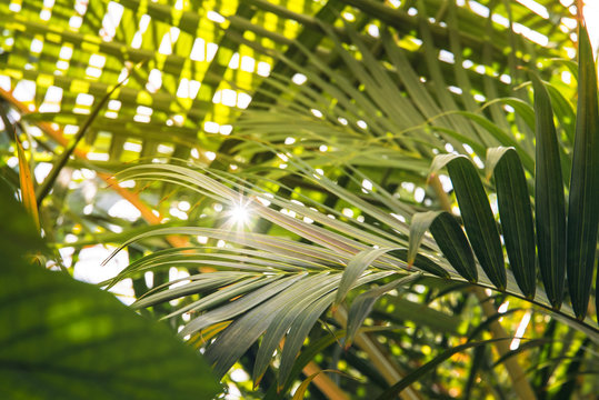 Multipliant Images – Browse 51 Stock Photos, Vectors, and Video | Adobe ...