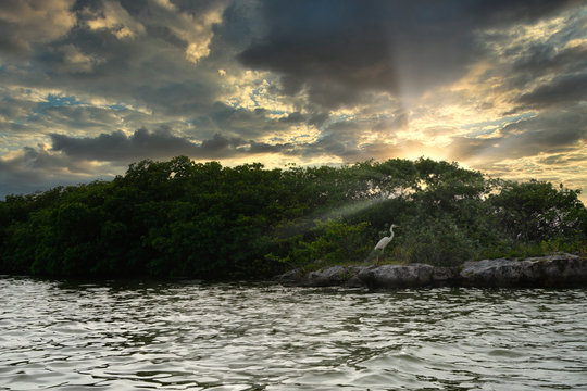 TravelT photos, images, assets | Adobe Stock