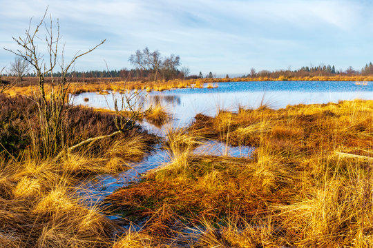 「Hochmoor」の画像 - 5,451 件の Stock 写真、ベクターおよびビデオ | Adobe Stock