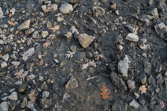 "Muddy Ground" Images – Browse 180 Stock Photos, Vectors, and Video ...