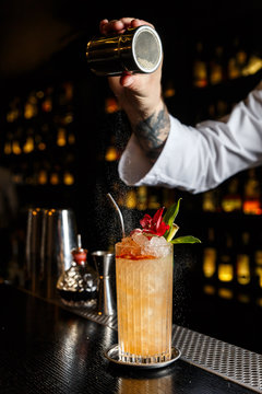 Barman Images – Parcourir 181,803 le catalogue de photos, vecteurs et ...