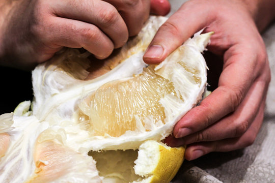 รูปภาพPomela – เลือกดูภาพถ่ายสต็อก เวกเตอร์ และวิดีโอ550 | Adobe Stock