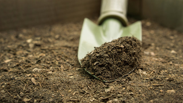 pdsci photos, images, assets | Adobe Stock