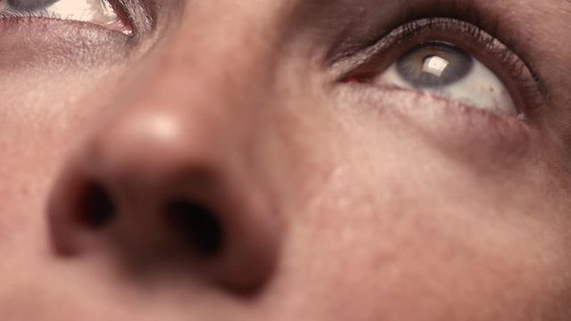 "Up Close" Images – Browse 13,420 Stock Photos, Vectors, and Video ...