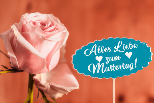 Schlid Images – Browse 33 Stock Photos, Vectors, and Video | Adobe Stock