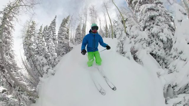 Bails Images – Browse 150,139 Stock Photos, Vectors, and Video | Adobe ...