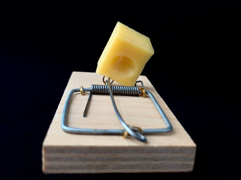 LAS 206,058 MEJORES IMÁGENES, FOTOS DE ARCHIVO Y VECTORES DE Trampa ...