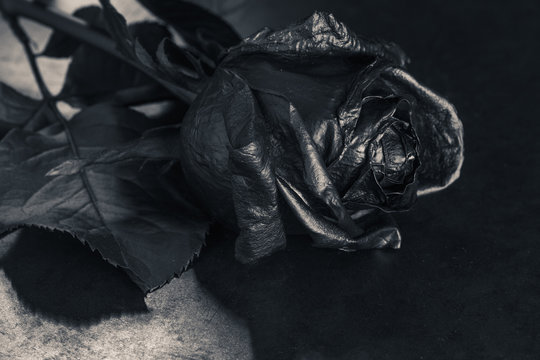 Brokenness Bilder – Durchsuchen 647 Archivfotos, Vektorgrafiken und ...