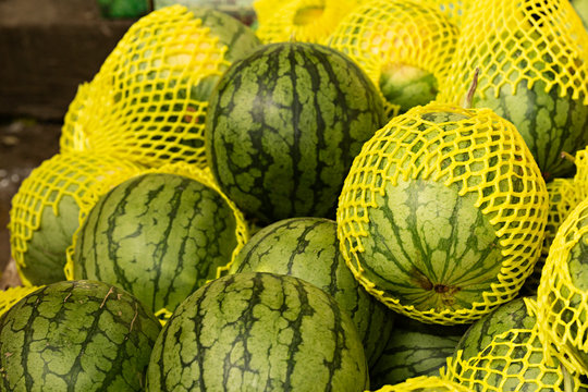 Sandias Bilder – Durchsuchen 1,245 Archivfotos, Vektorgrafiken und ...