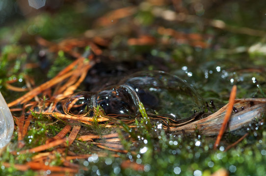 รูปภาพBolle – เลือกดูภาพถ่ายสต็อก เวกเตอร์ และวิดีโอ3,808 | Adobe Stock