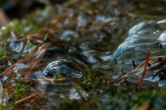 รูปภาพBolle – เลือกดูภาพถ่ายสต็อก เวกเตอร์ และวิดีโอ3,808 | Adobe Stock