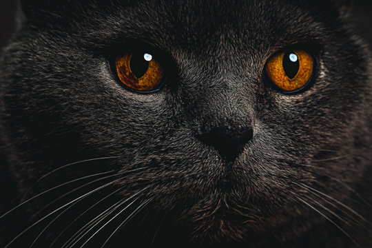 รูปภาพFell – เลือกดูภาพถ่ายสต็อก เวกเตอร์ และวิดีโอ7,846,503 | Adobe Stock