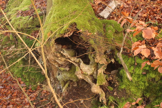 「Hohl」の画像 - 2,761 件の Stock 写真、ベクターおよびビデオ | Adobe Stock