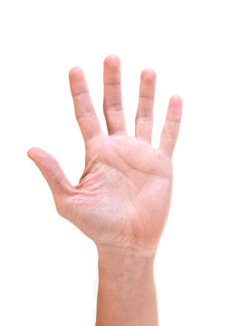 Free Hands Images – Browse 118,560 Free Stock Photos, Vectors, and ...
