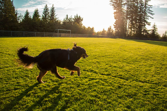 รูปภาพBounding – เลือกดูภาพถ่ายสต็อก เวกเตอร์ และวิดีโอ82,143 | Adobe Stock