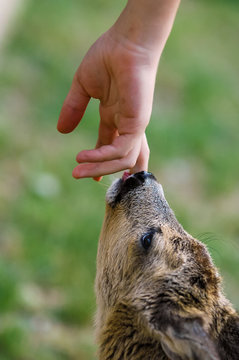 Imágenes de Succionar: descubre bancos de fotos, ilustraciones ...