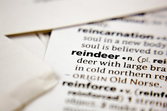 Definition Bilder – Durchsuchen 338,419 Archivfotos, Vektorgrafiken und ...