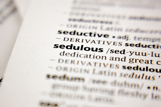 Sedulous
